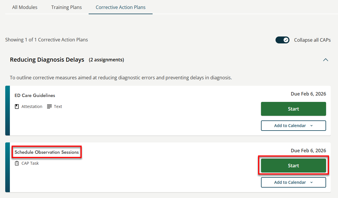 Corrective Action Plan Assignments